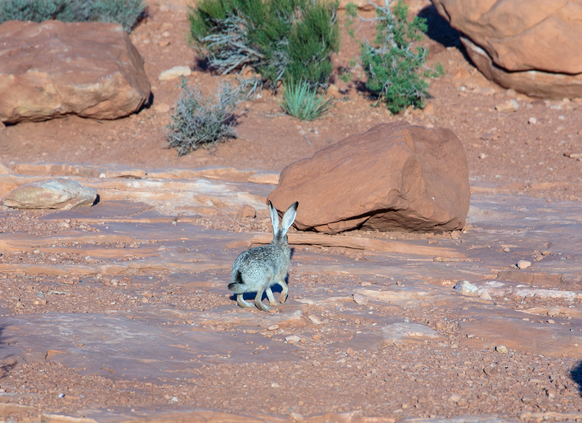 Moab Utah - Ben Holcomb