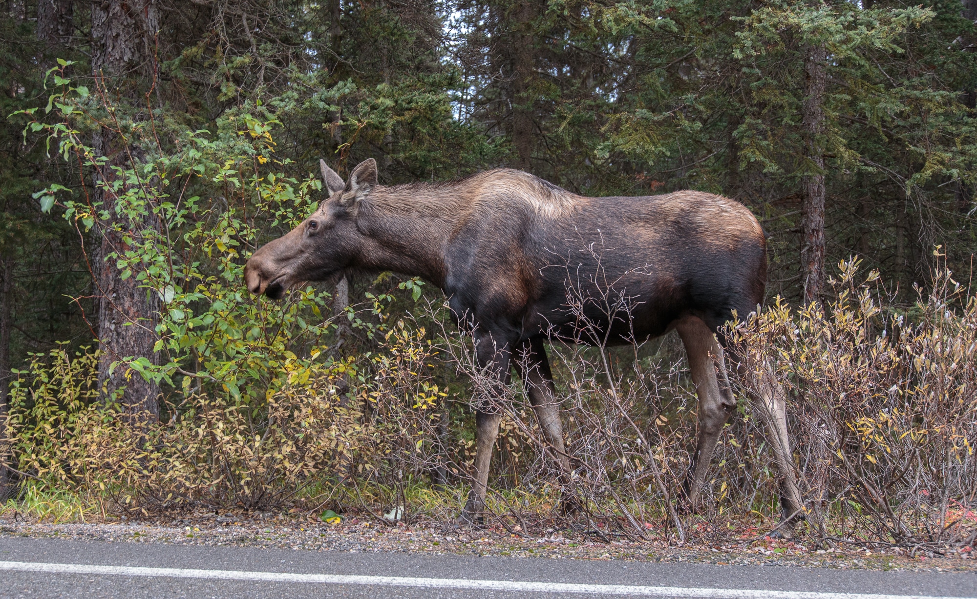 Banff and Yoho National Parks in Canada - Ben Holcomb